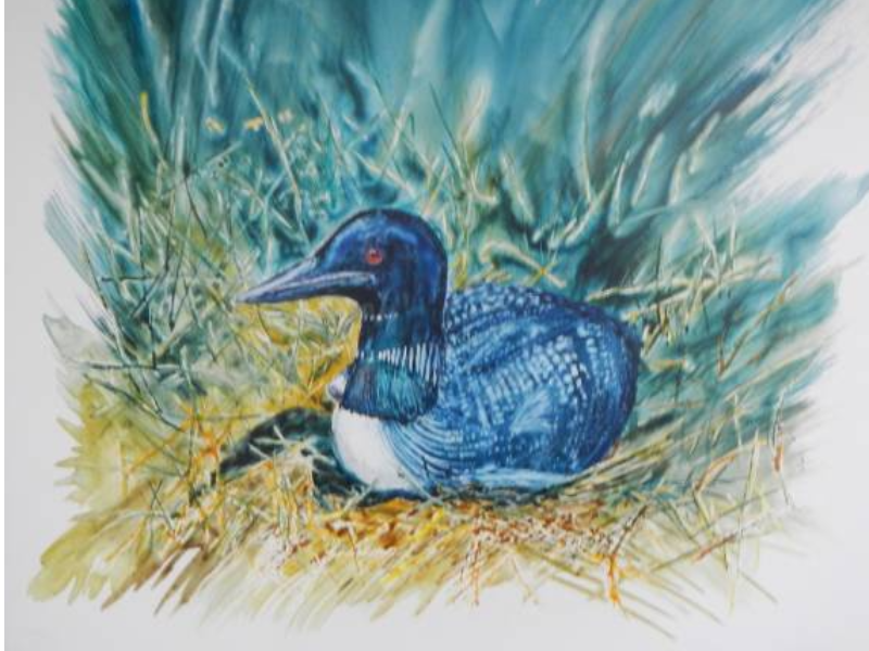 Lise Cormier | Artiste peintre