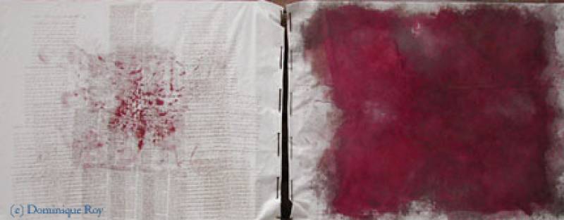 Dominique Roy | Artiste visuelle